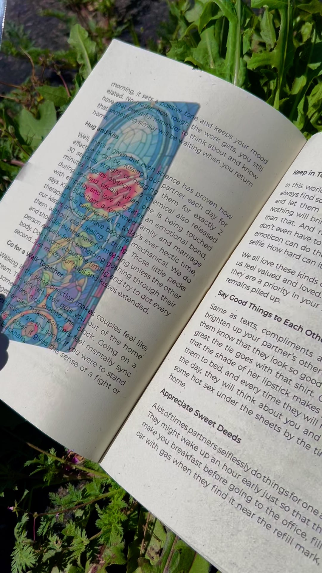 Beauty and the Beast Rose Bookmark – Enchanted Rose Design, Magical Fa ...